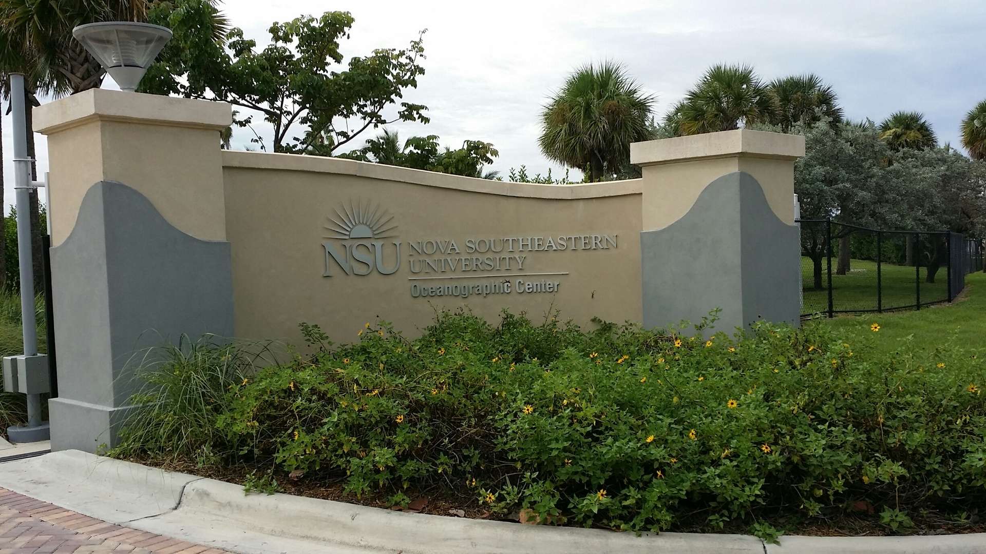 nsu - Camp Live Oak
