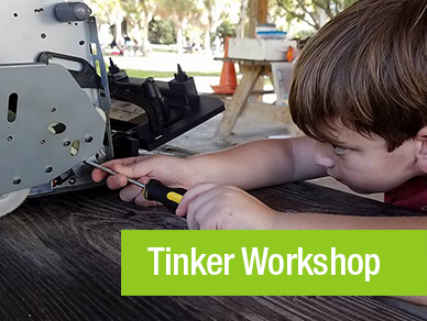 Our Activities - Camp Live Oak