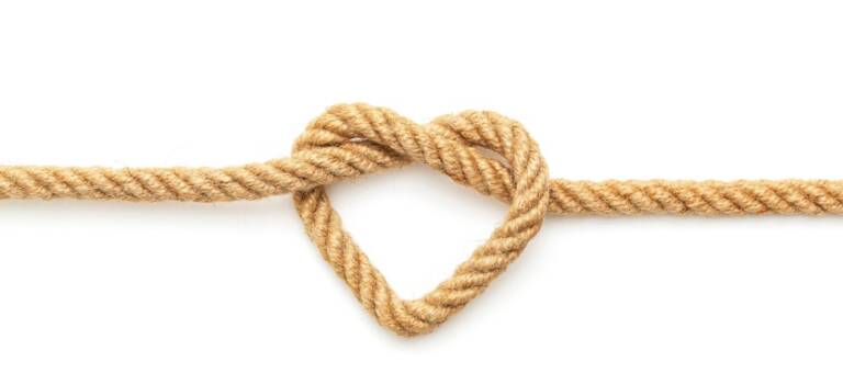 Top Ten Knots for Kids - Camp Live Oak