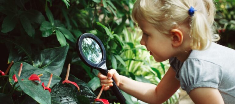 The Role of Outdoor Education in Child Development - Camp Live Oak